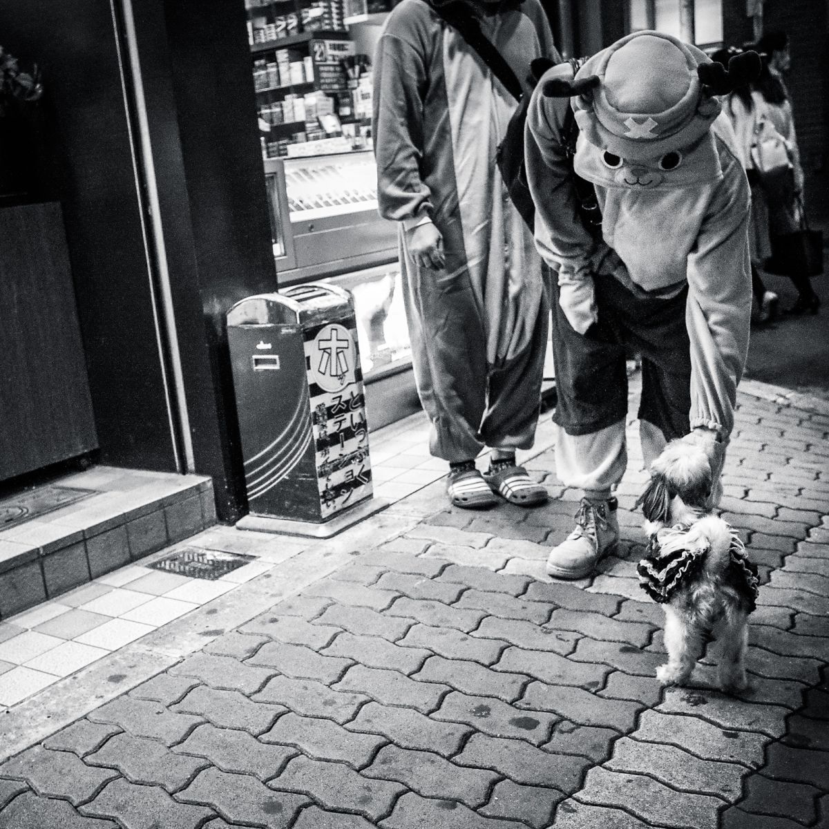 street corner | GANREF