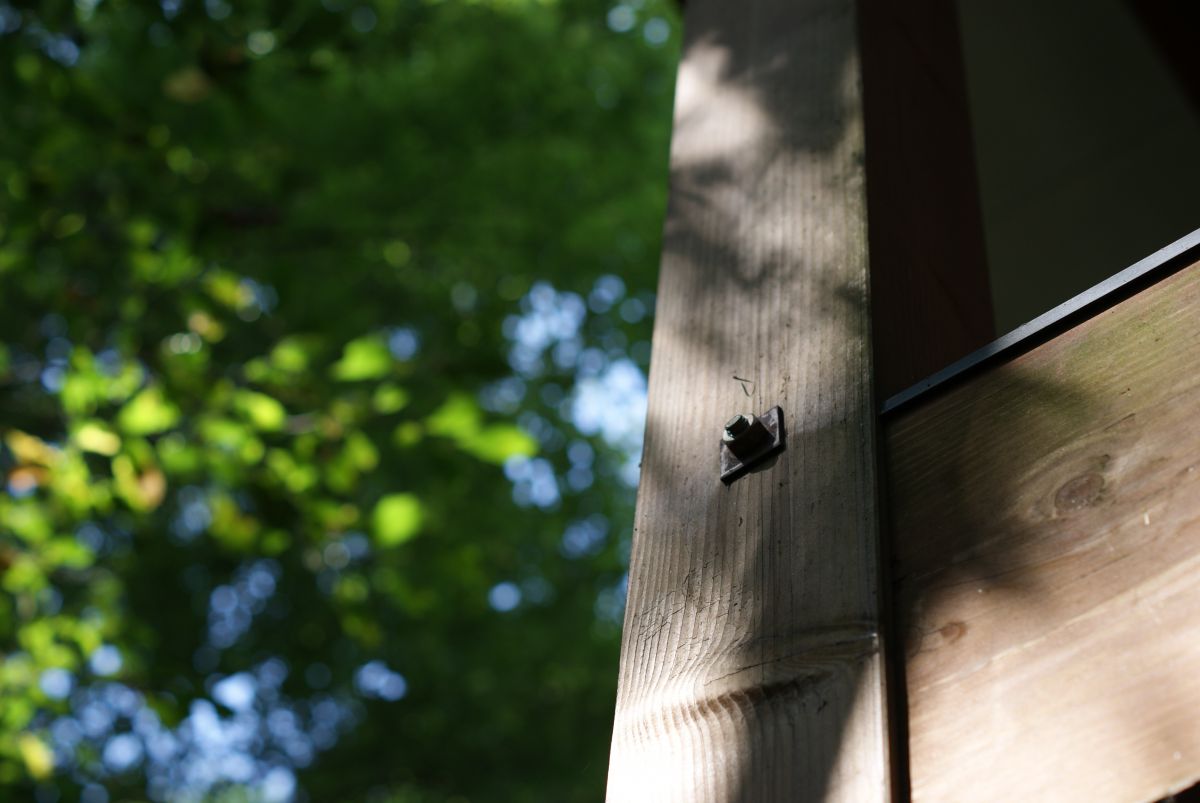 DSC00379.JPG | GANREF