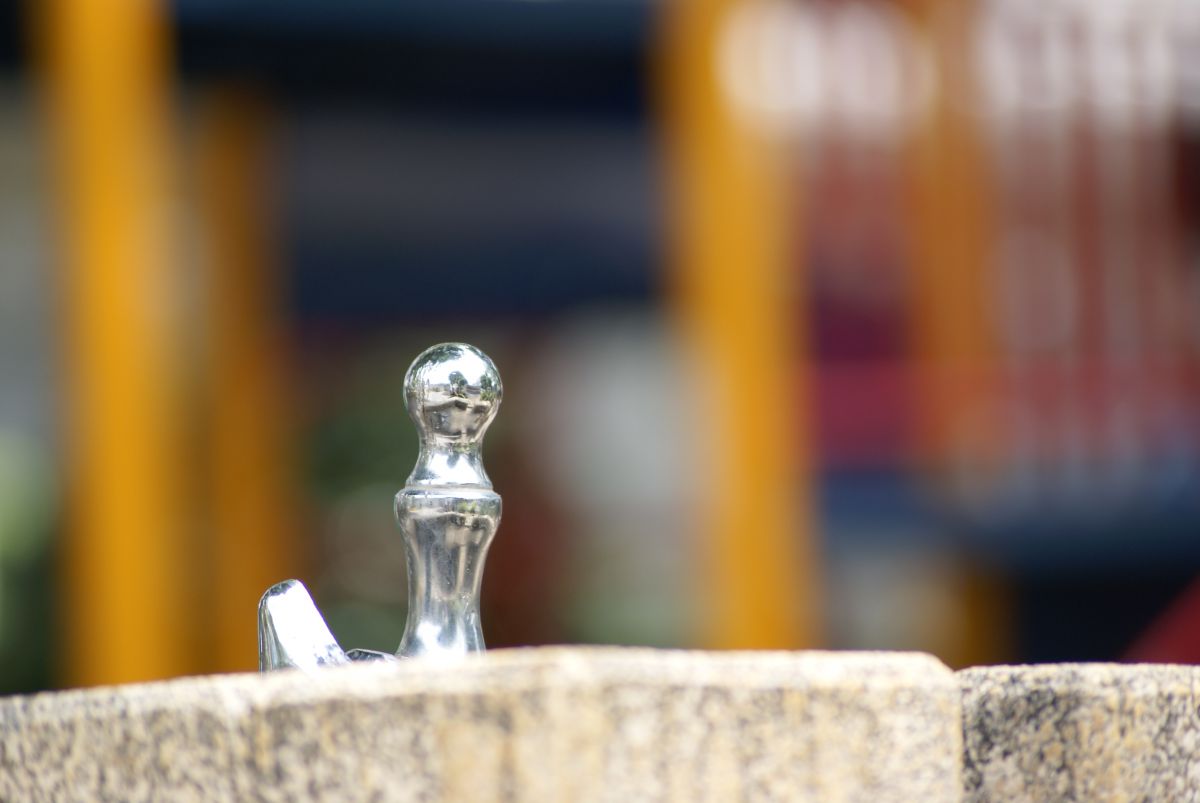 DSC00339.JPG | GANREF