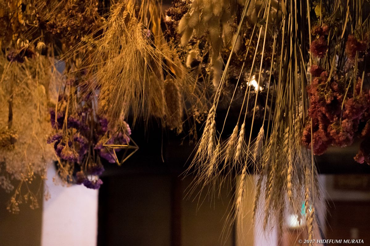 DRY FLOWERS | GANREF