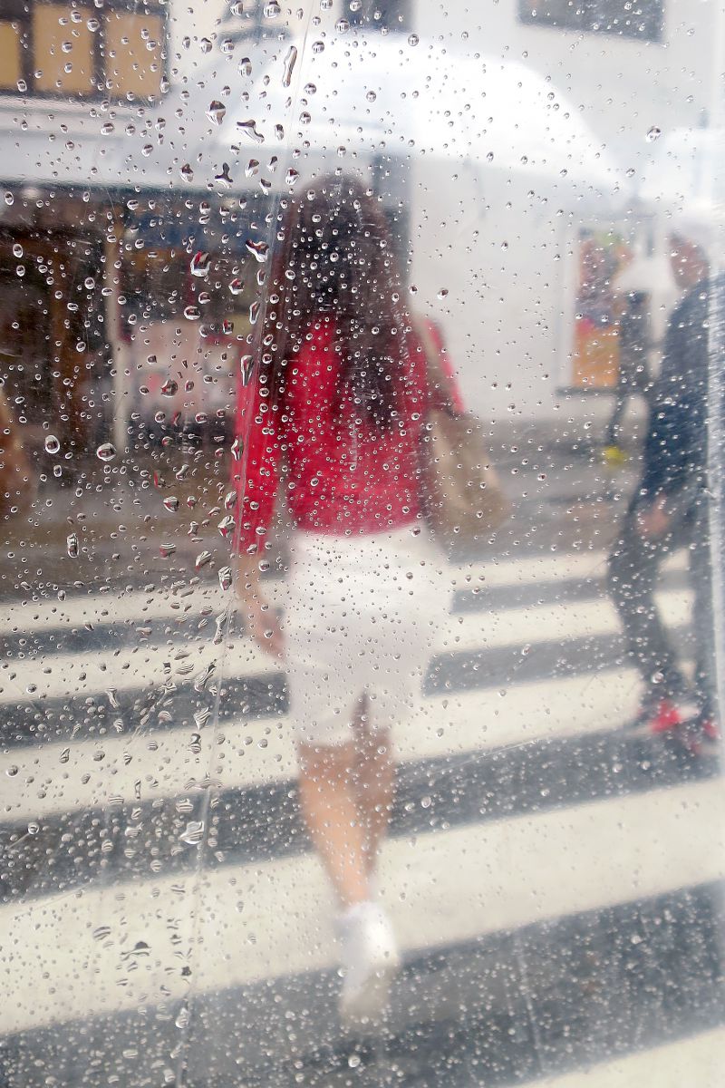 Rainy Red | GANREF