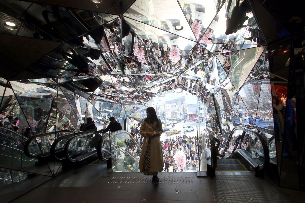 Cherry blossom | GANREF