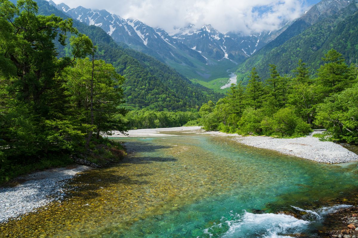 Fresh green | GANREF