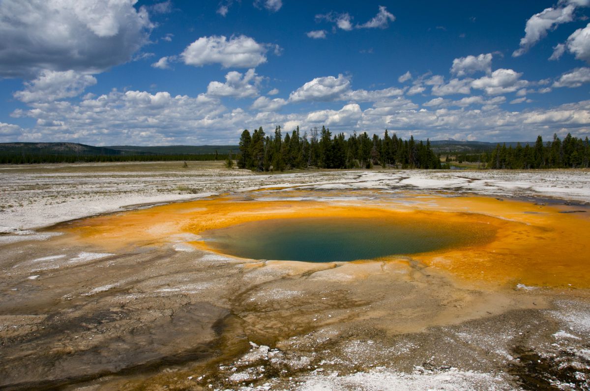 Beauty Pool | GANREF