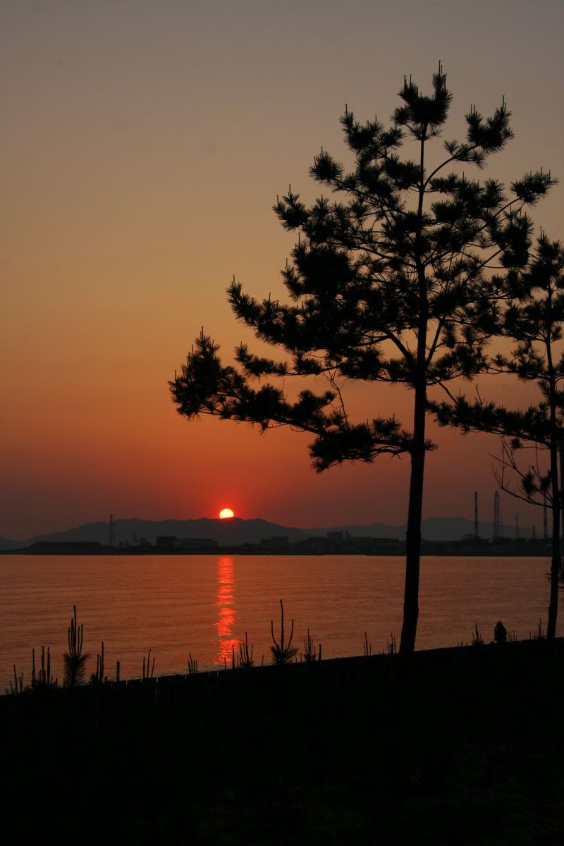 Twilight 1.JPG | GANREF