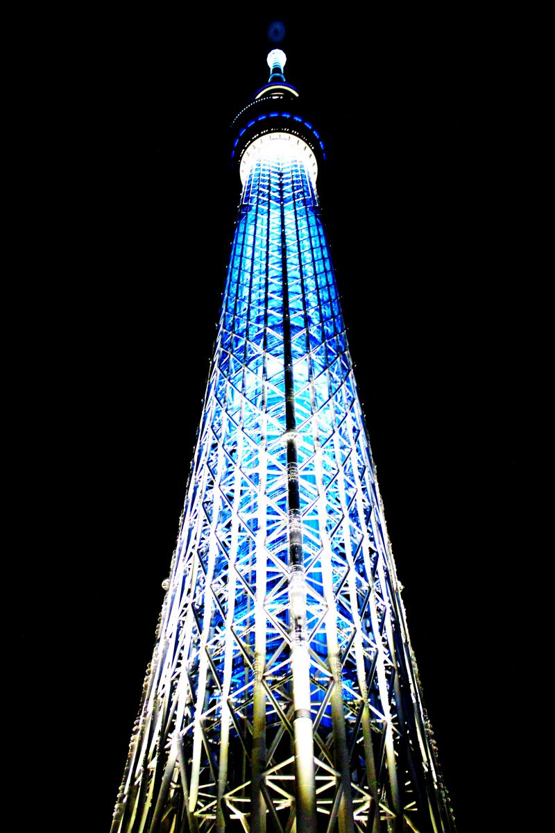 SKY TREE | GANREF