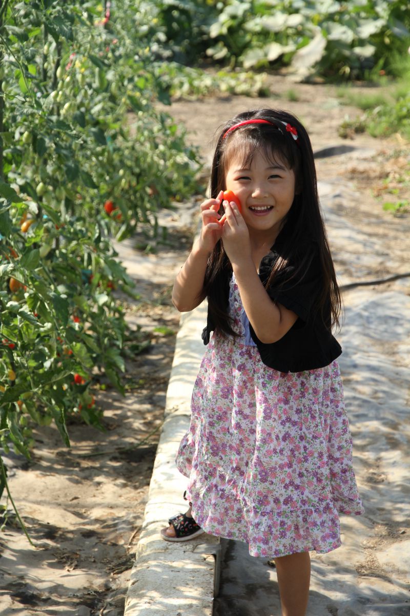 トマト狩り？？ | GANREF