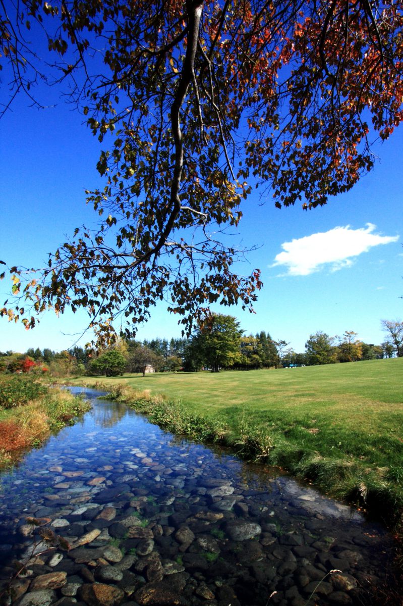 座りませんか？ | GANREF