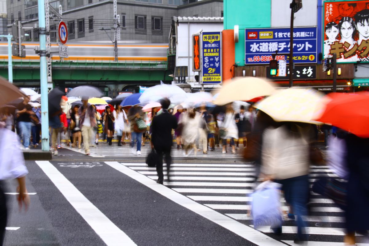 Colorful-Traffic | GANREF