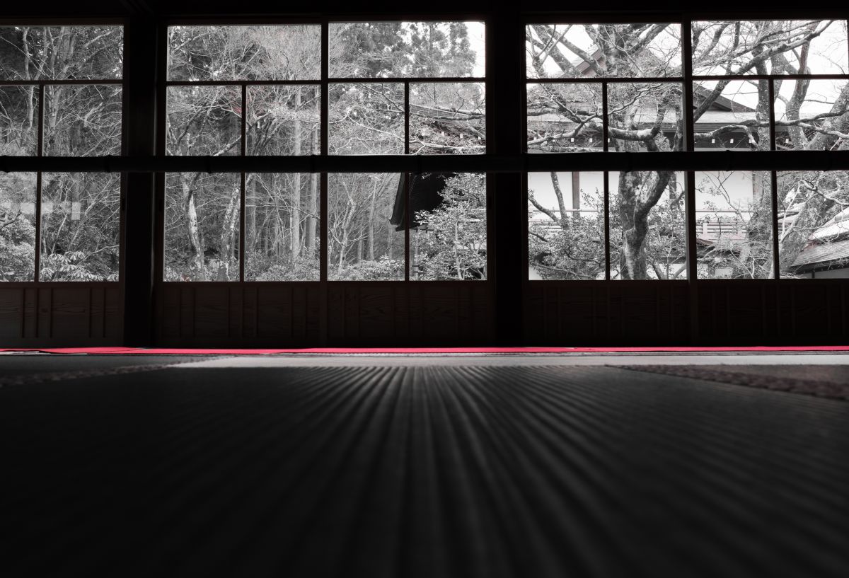 thin red line | GANREF