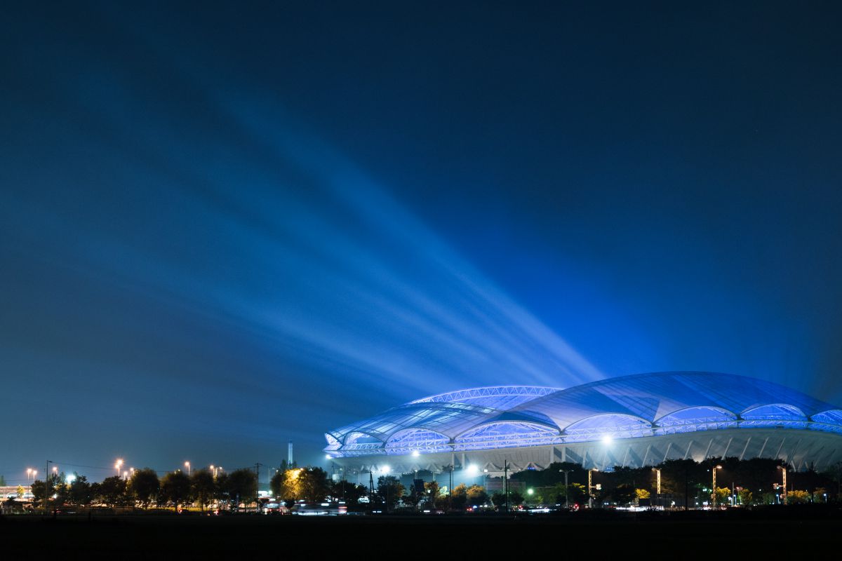 Flying Big-Swan | GANREF