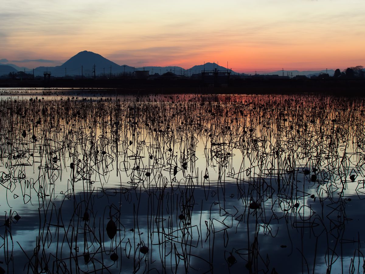 this morning | GANREF