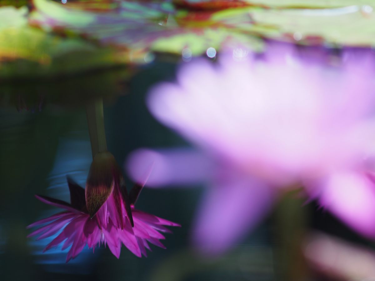 under world | GANREF