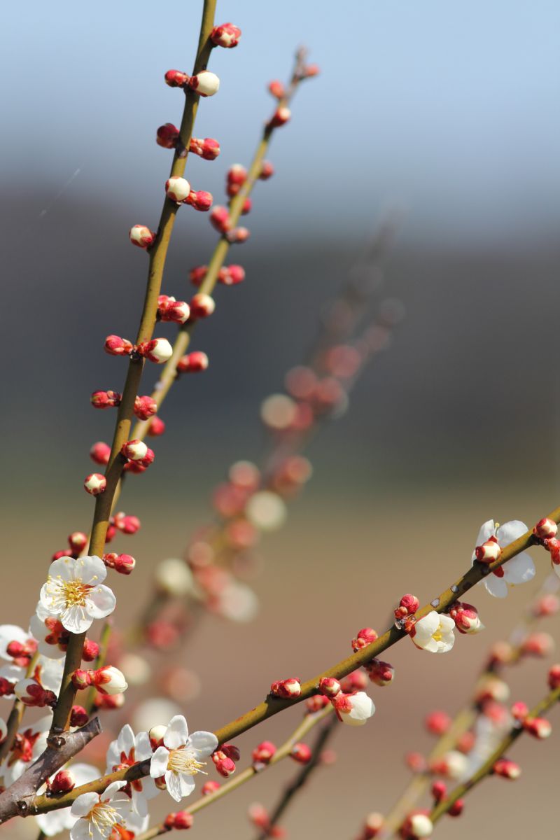 もう少し待てば… | GANREF