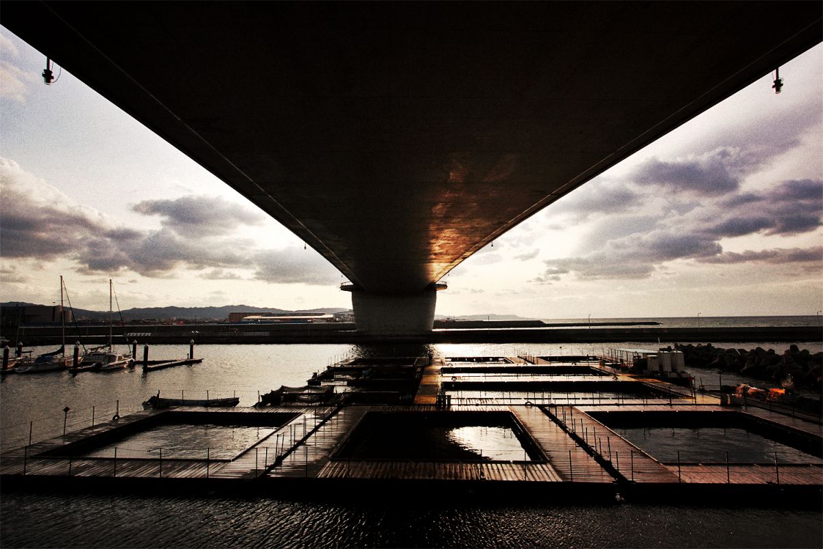 perspective | GANREF