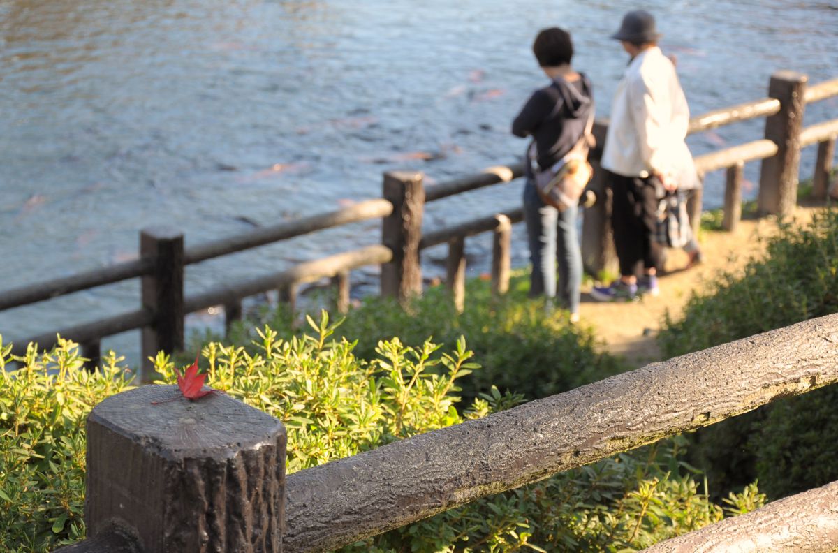 小さい秋 | GANREF