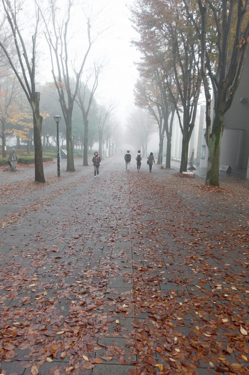 都市点描119 | GANREF