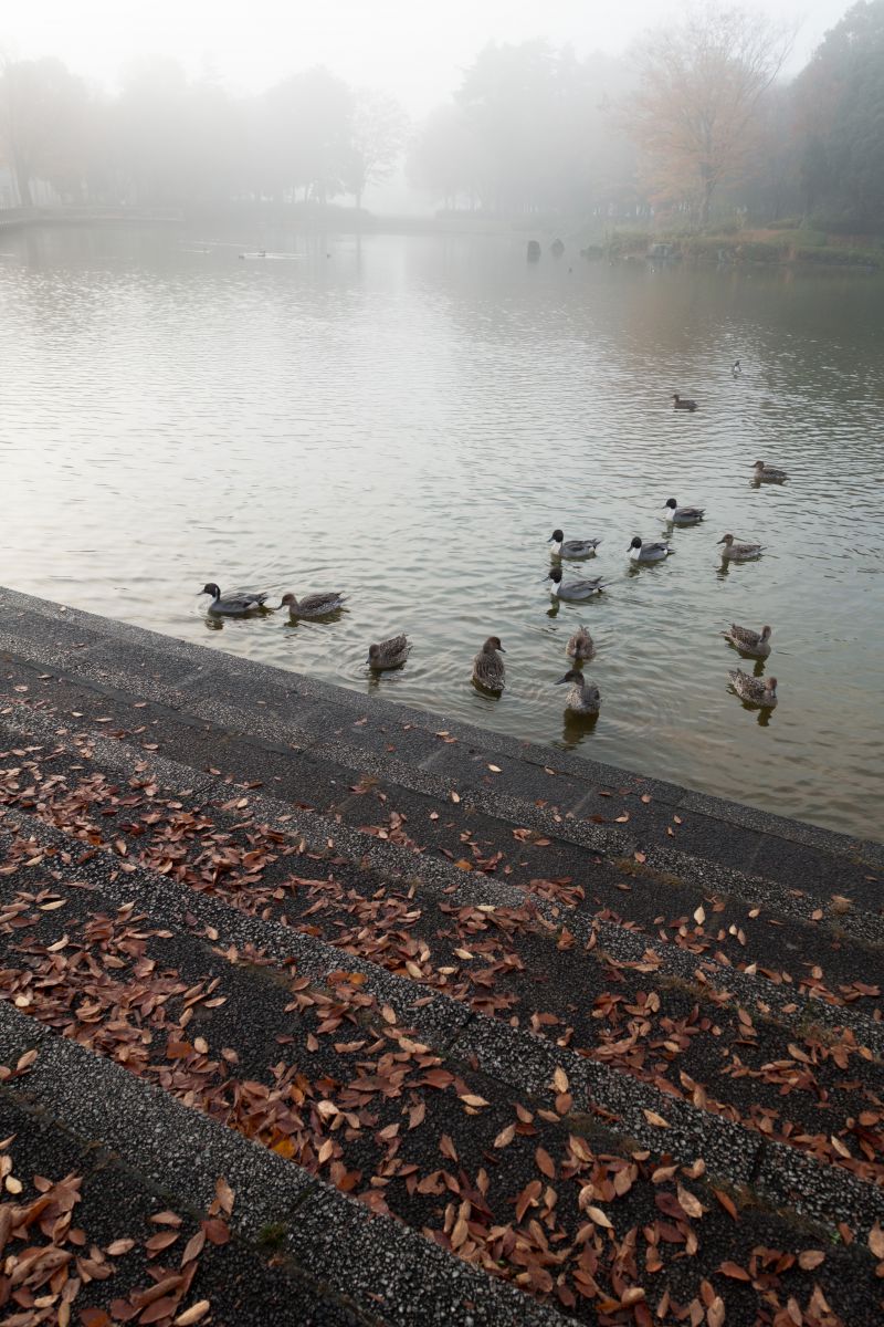 都市点描120 | GANREF