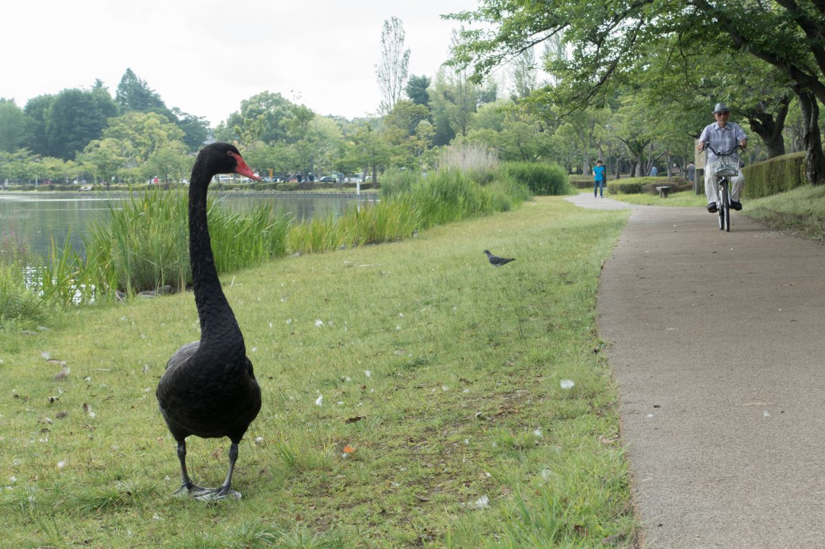 都市点描142 | GANREF