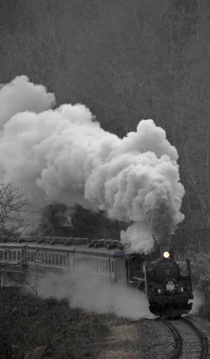 人生、至福の時はいま（ネガより） | GANREF