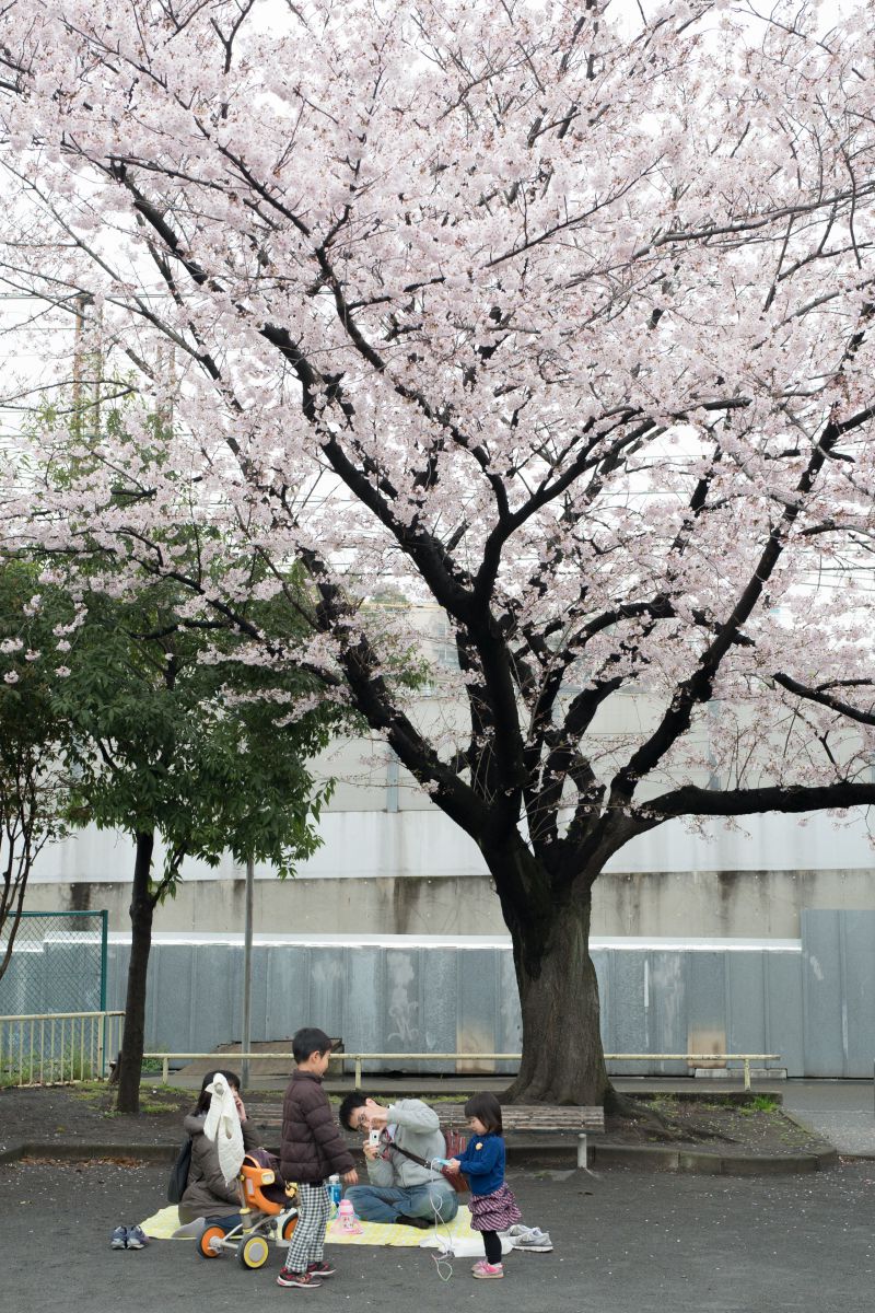 都市点描63 | GANREF