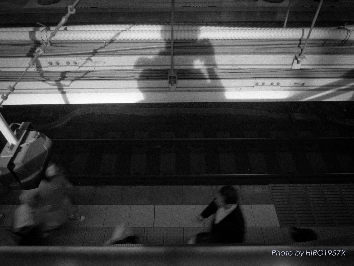 セルフポートレート | GANREF