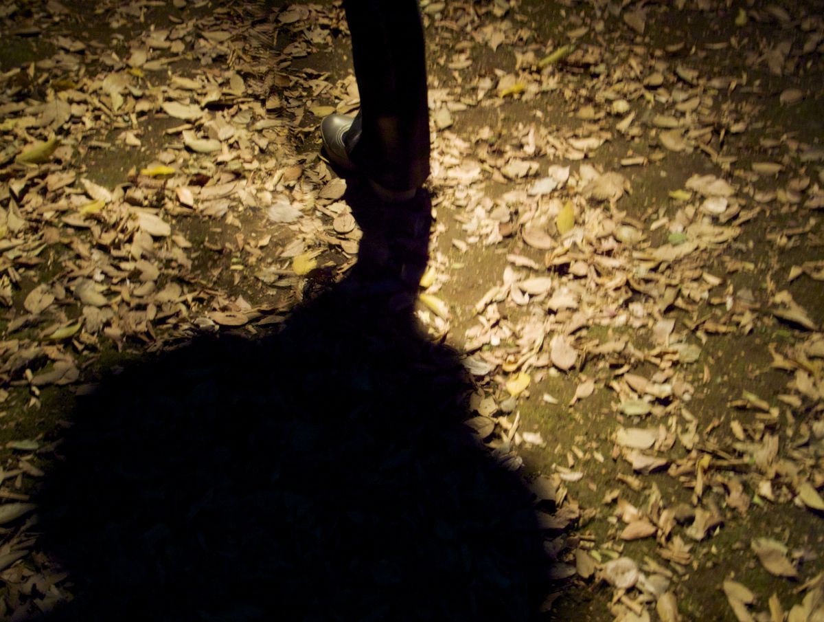 うまく撮れたか？ | GANREF