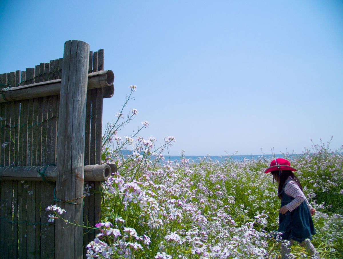 何があるかな？ | GANREF