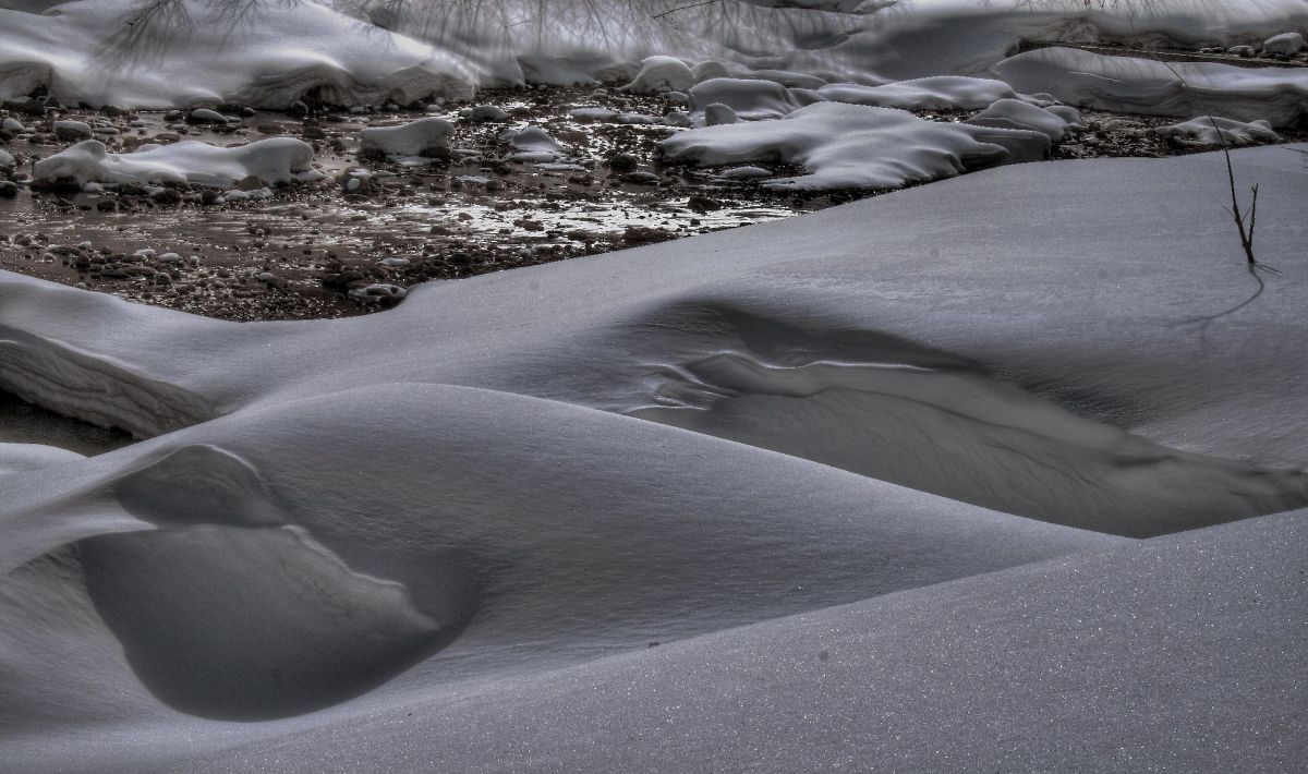 Cotton Candy | GANREF