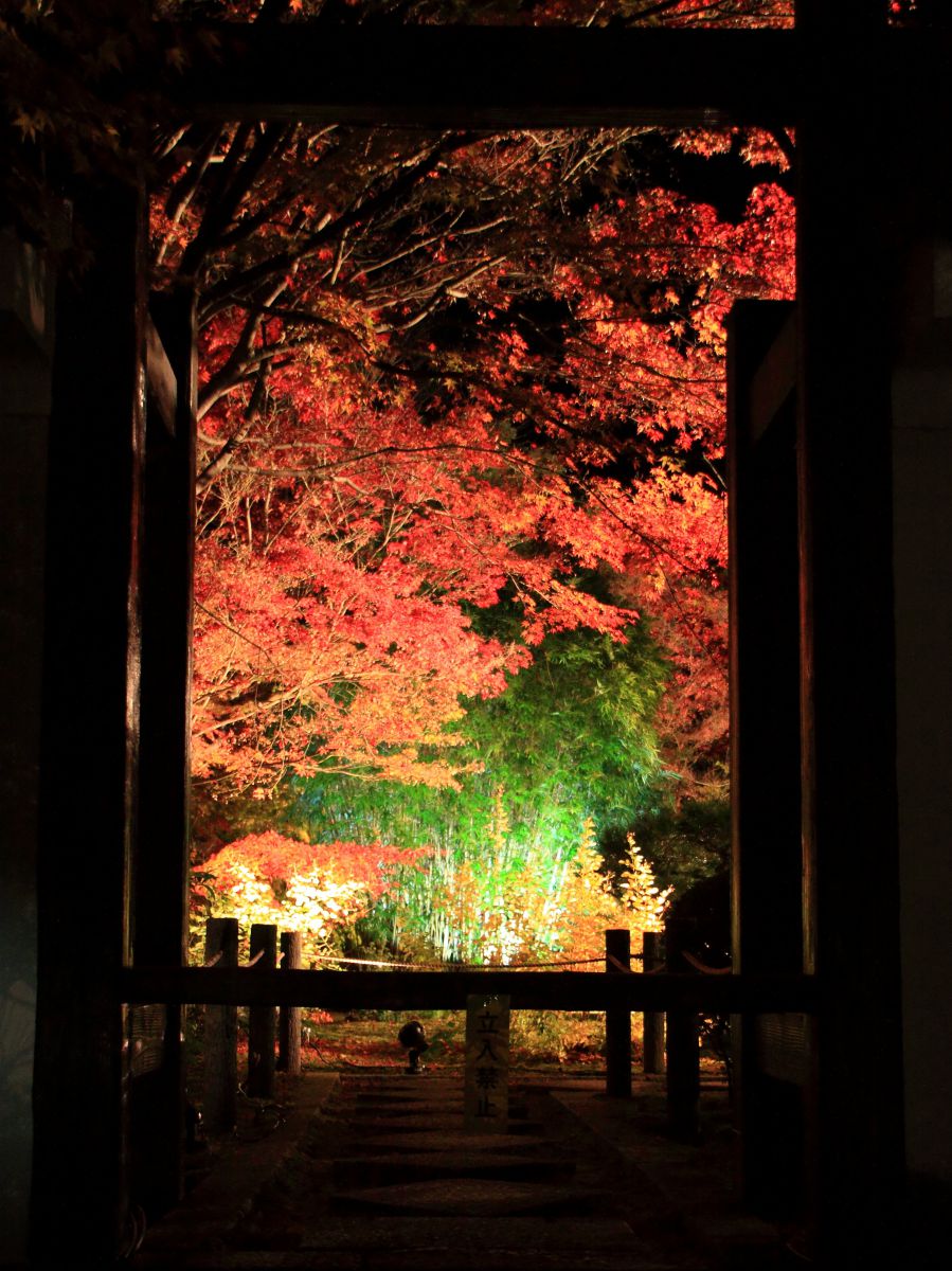 立入禁止！その先は… | GANREF