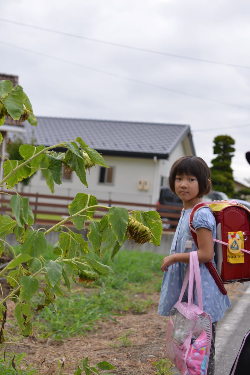 憂うつな朝 | GANREF