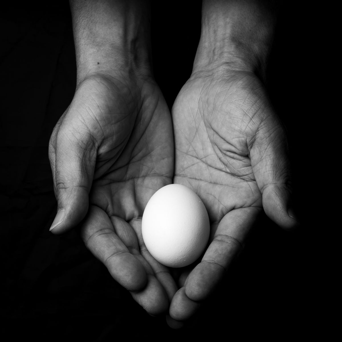 egg in hands | GANREF