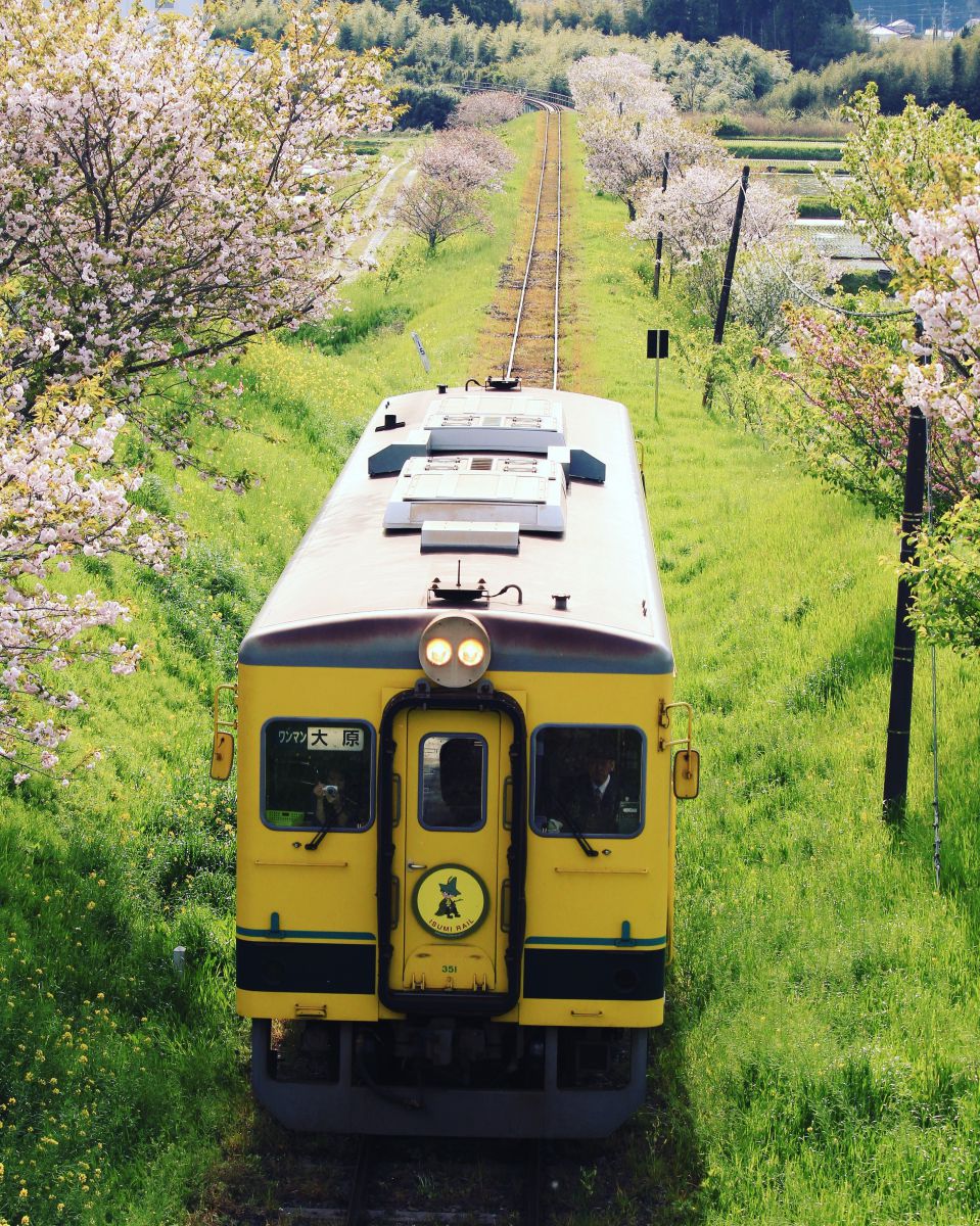 いすみ鉄道と桜 | GANREF