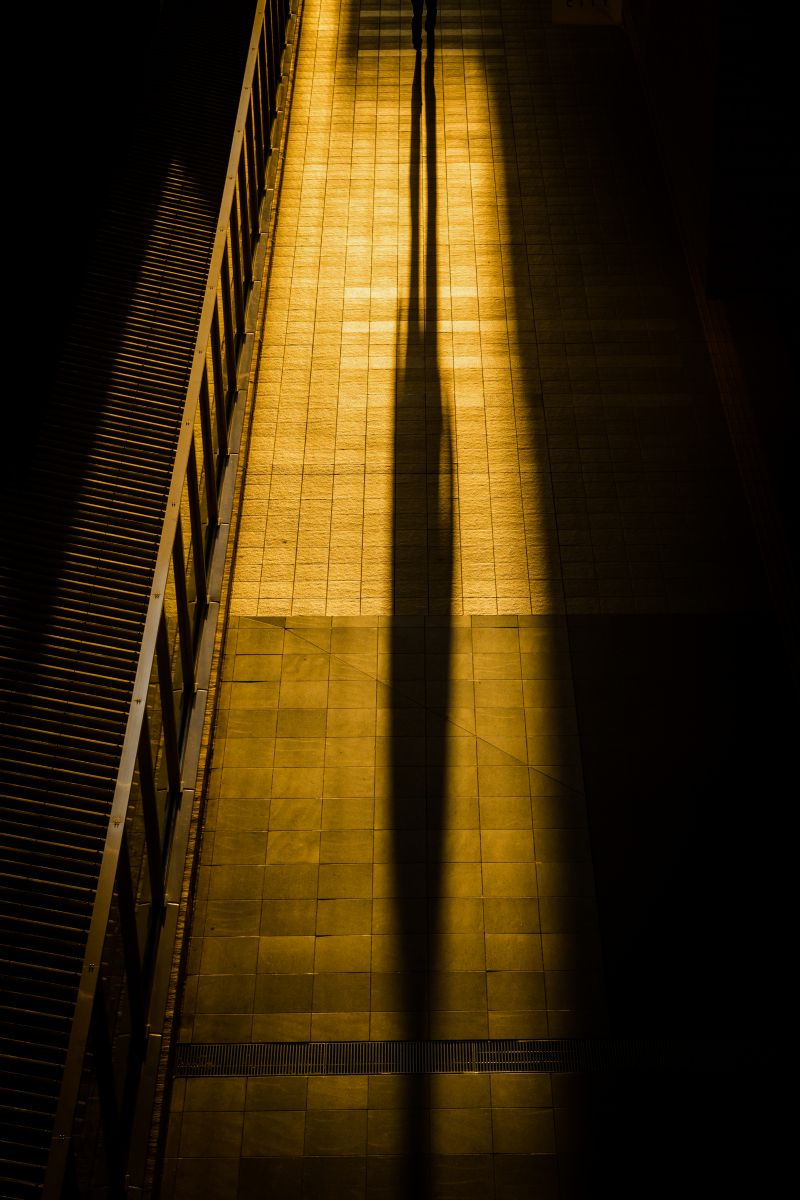 Shadow of a man walking | GANREF