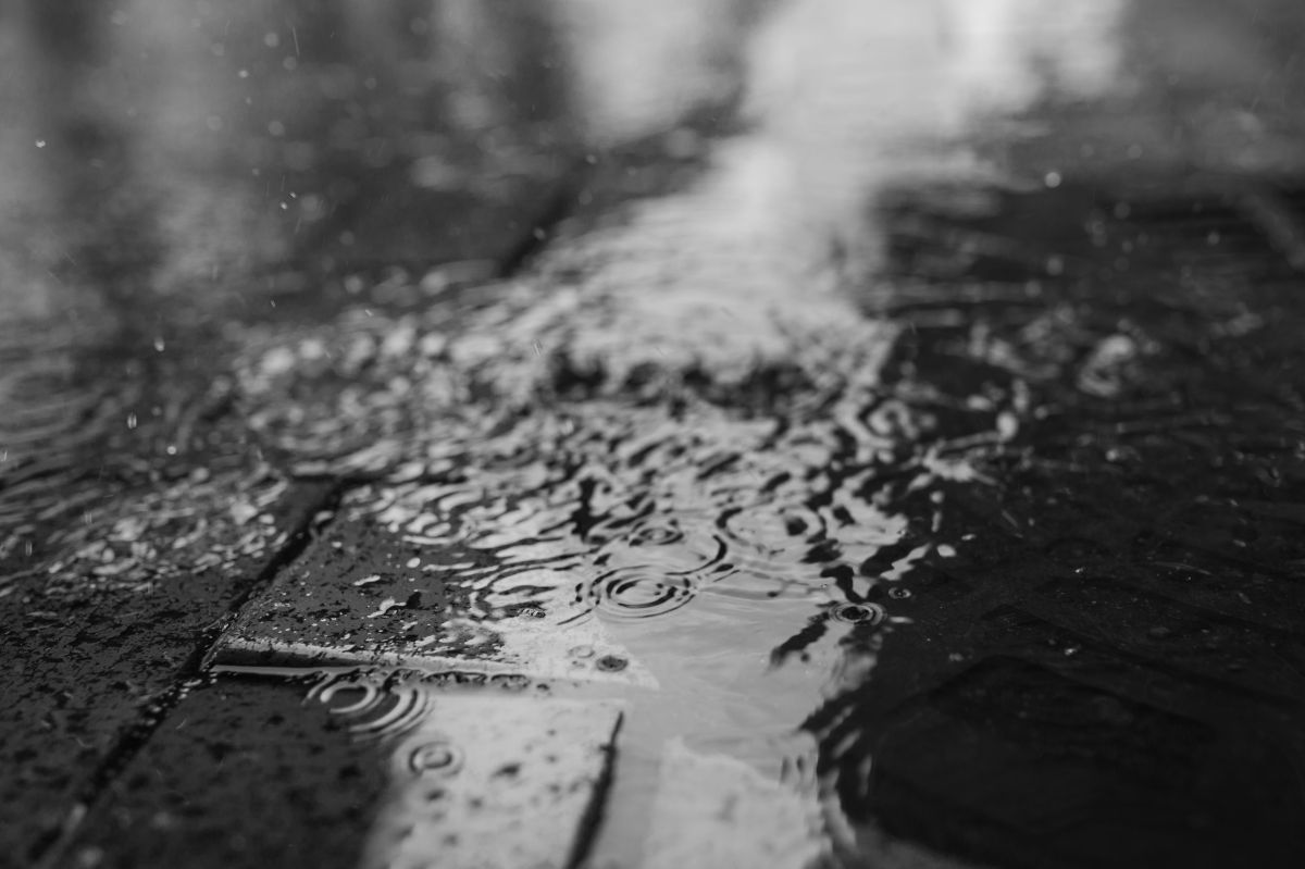 in the rain | GANREF