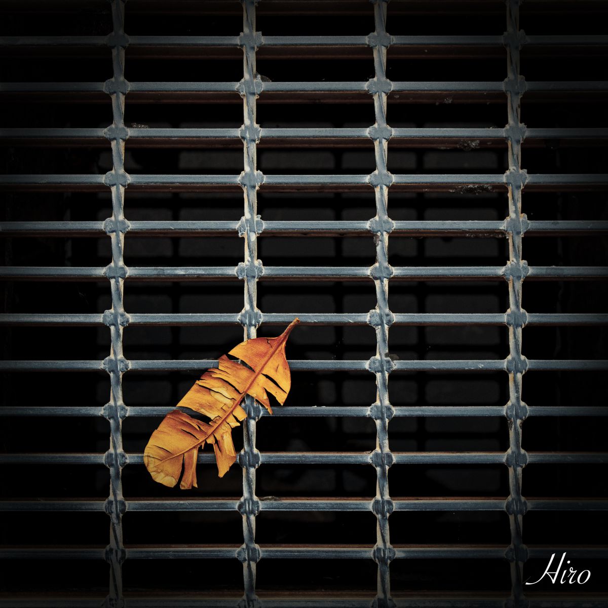 final stage | GANREF