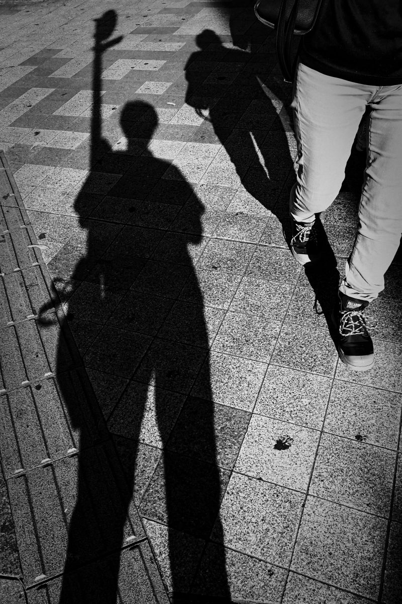 passing each other | GANREF