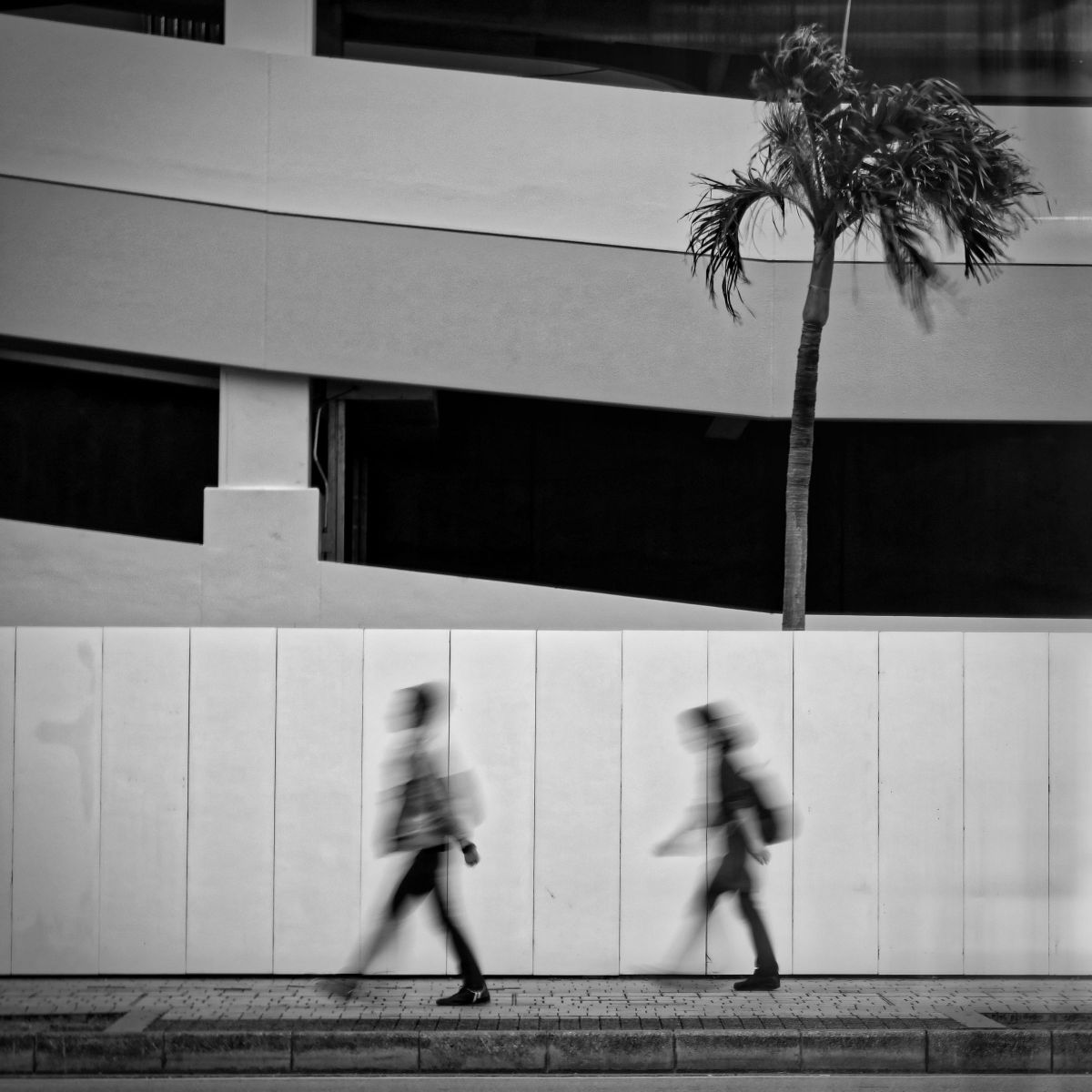 step motion | GANREF