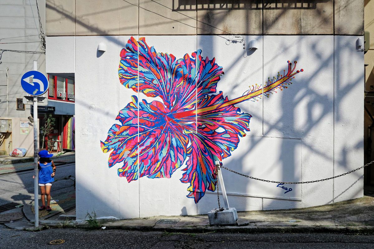 hibiscus and cables | GANREF