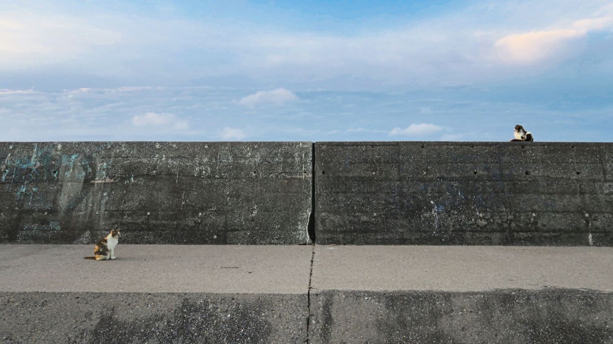 distance sense | GANREF