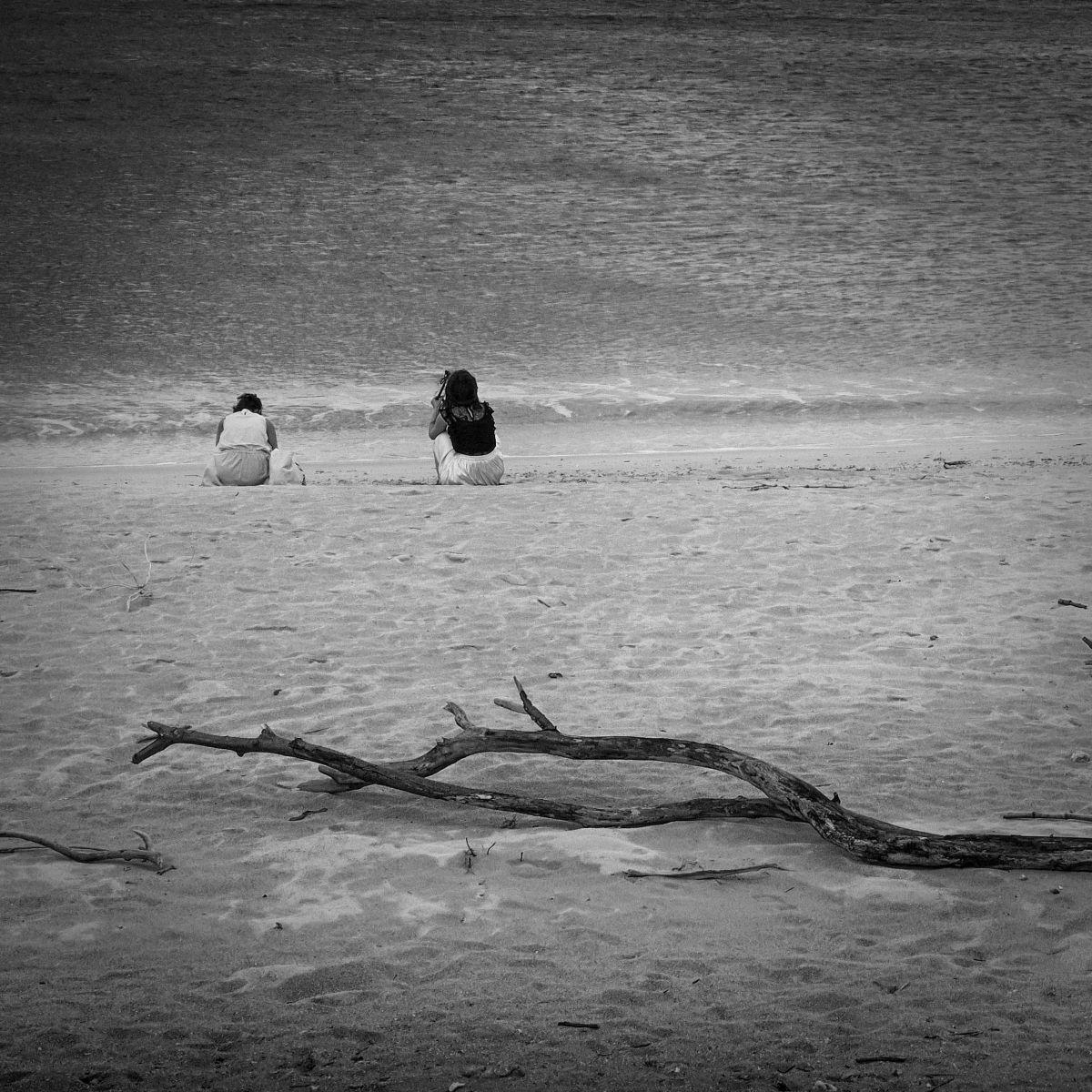 a summer memory** | GANREF