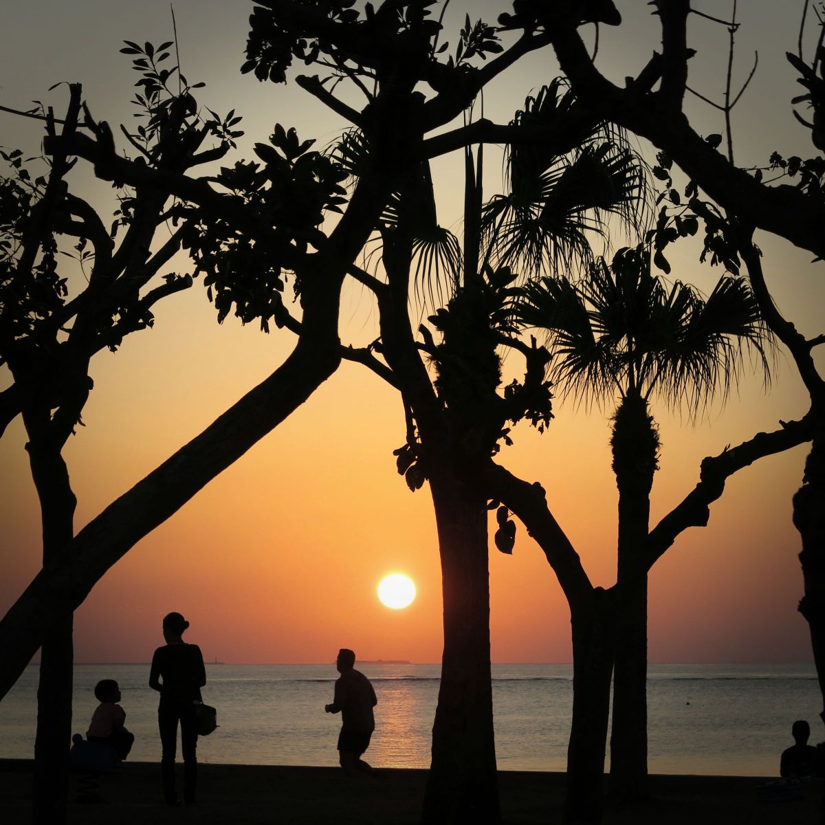 sunset view* | GANREF