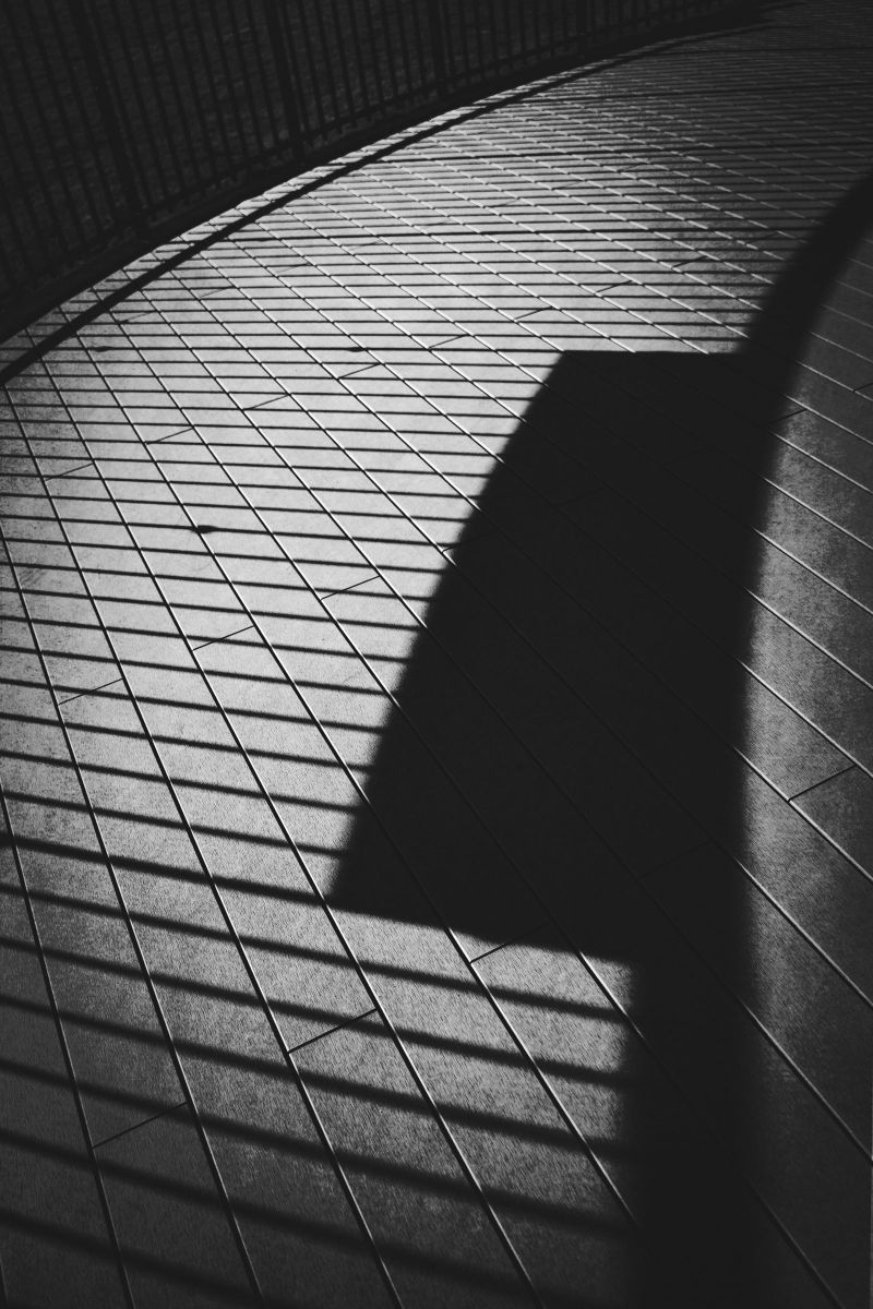 sunlight makes shadows | GANREF