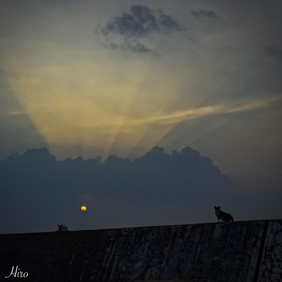 play time is over | GANREF