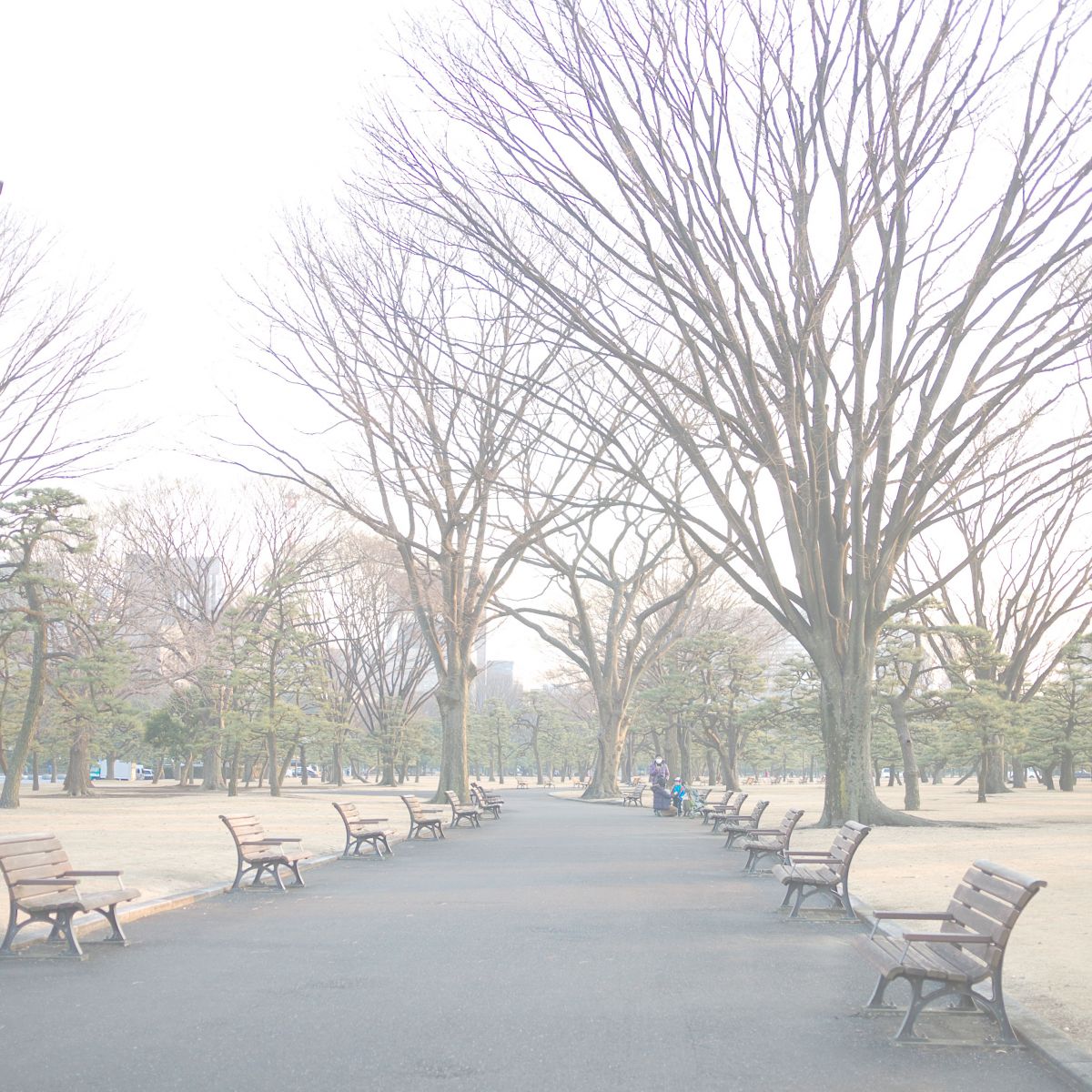 Winter Holiday | GANREF