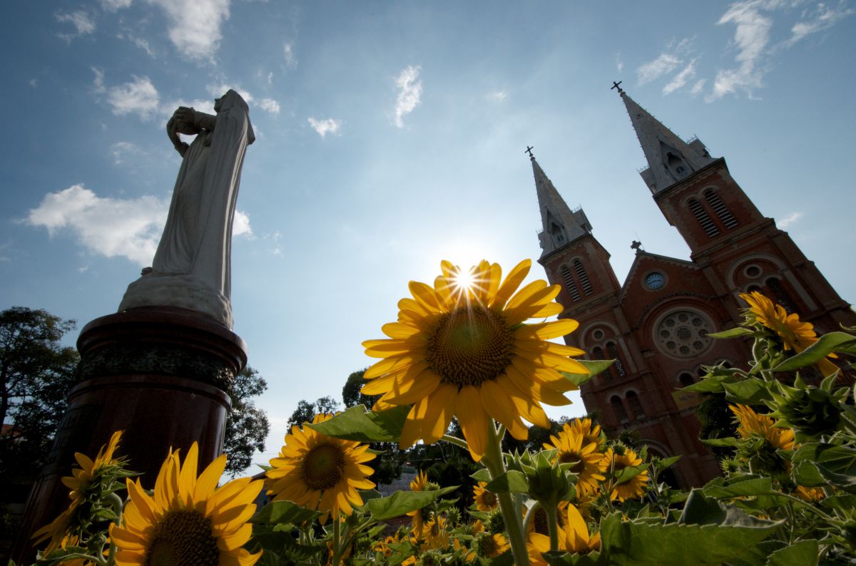 Ho Chi Minh 2011 | GANREF
