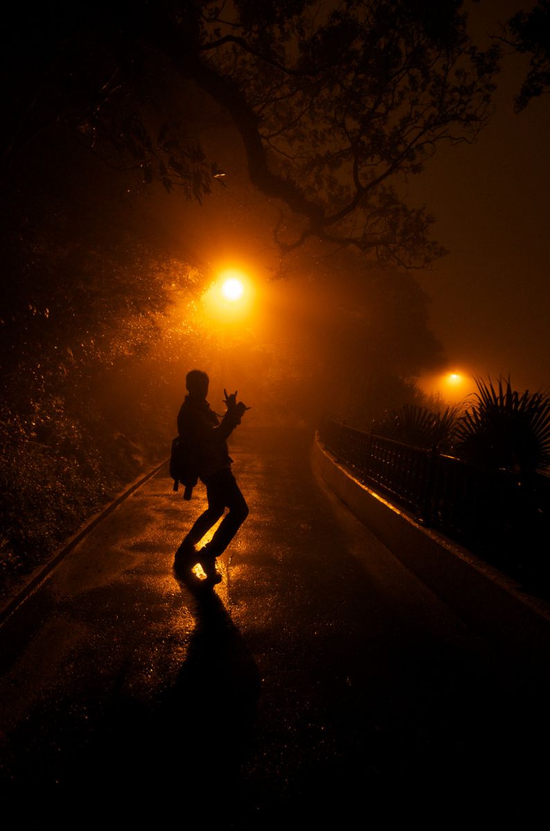 Don't think. Feel. | GANREF