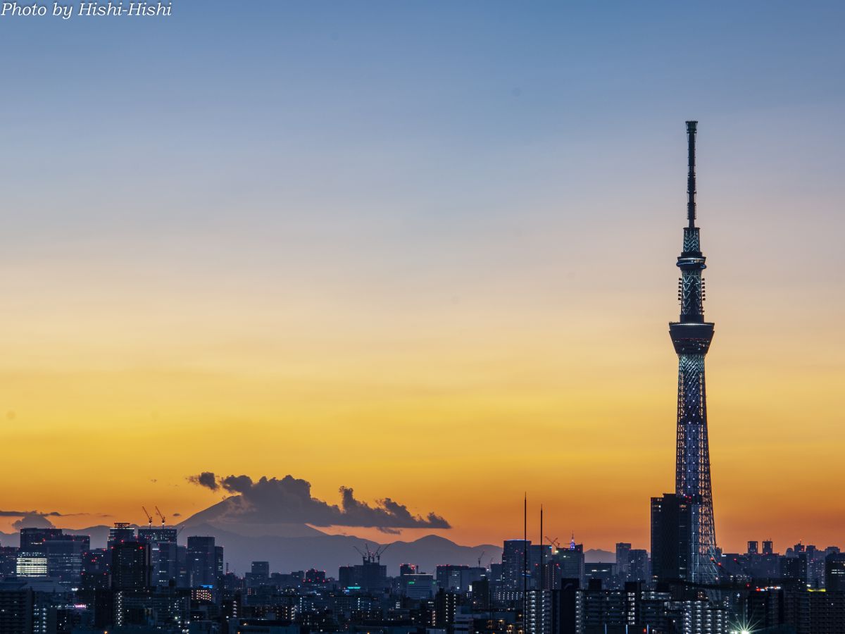 The Phoenix | GANREF