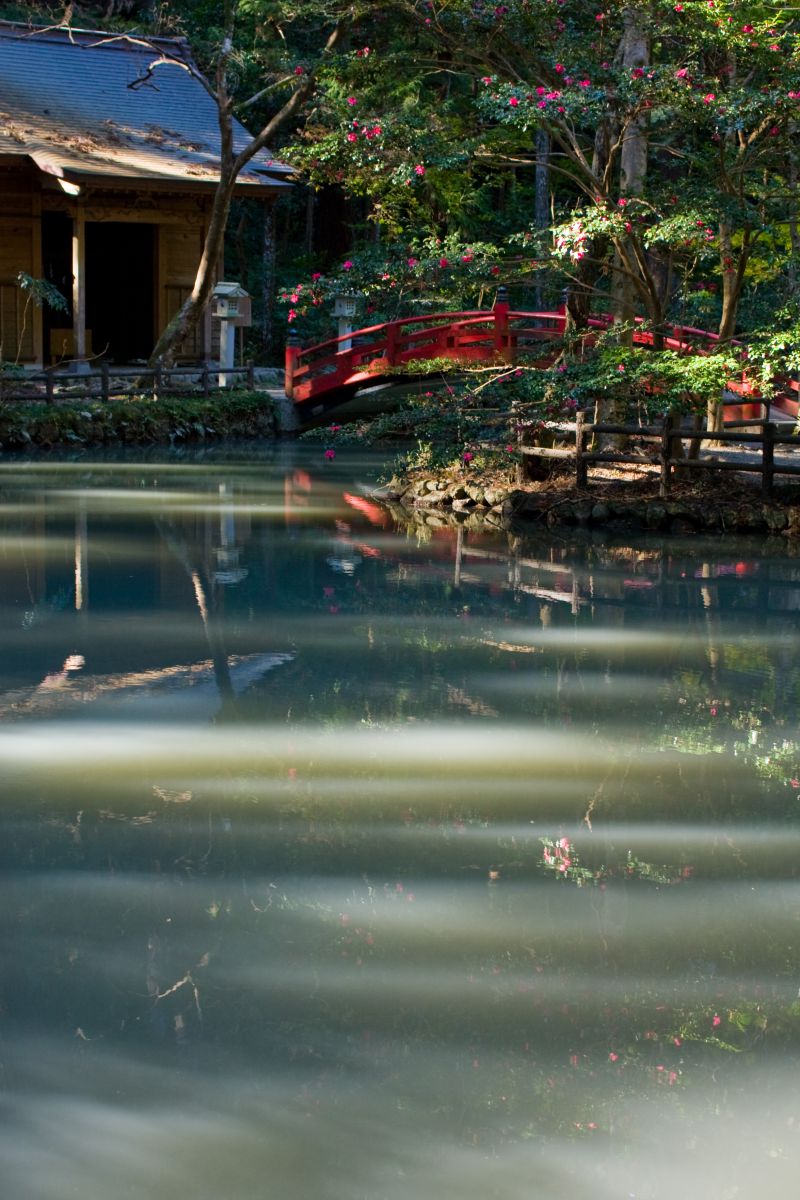 ことまちの池 | GANREF