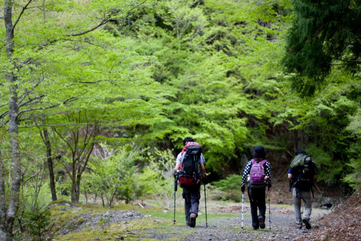 新緑 walk ! | GANREF